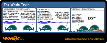 Cartoon - The Whole Truth about Beached Killer Whales in South Africa