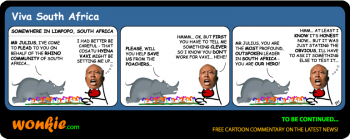 Rhino poaching in South Africa